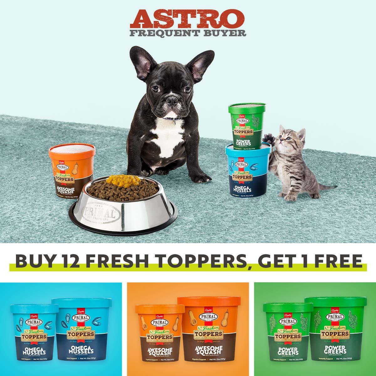 Welcome to City of Paws | Home